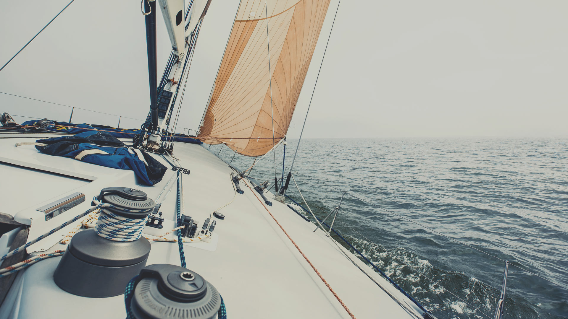 ELSA Officers | Standart gallery post